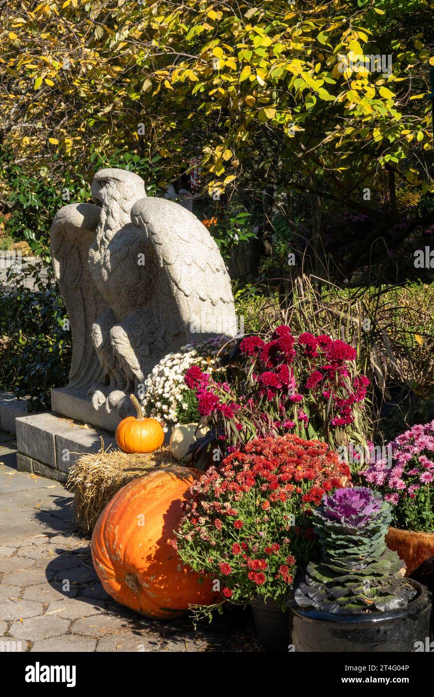 New york city central park zoo autumn hi-res stock photography and ...