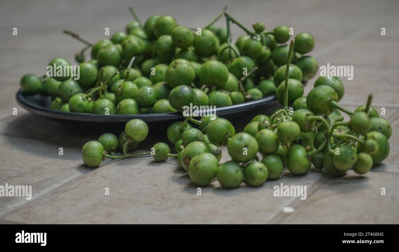 Solanum nigrum seed hi-res stock photography and images - Alamy