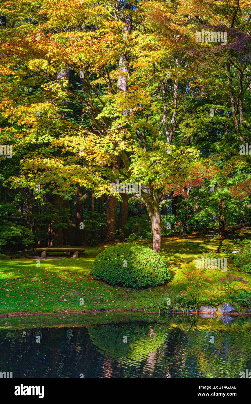 View across the lake at Nitobe Garden at UBC Vancouver Canada Stock ...