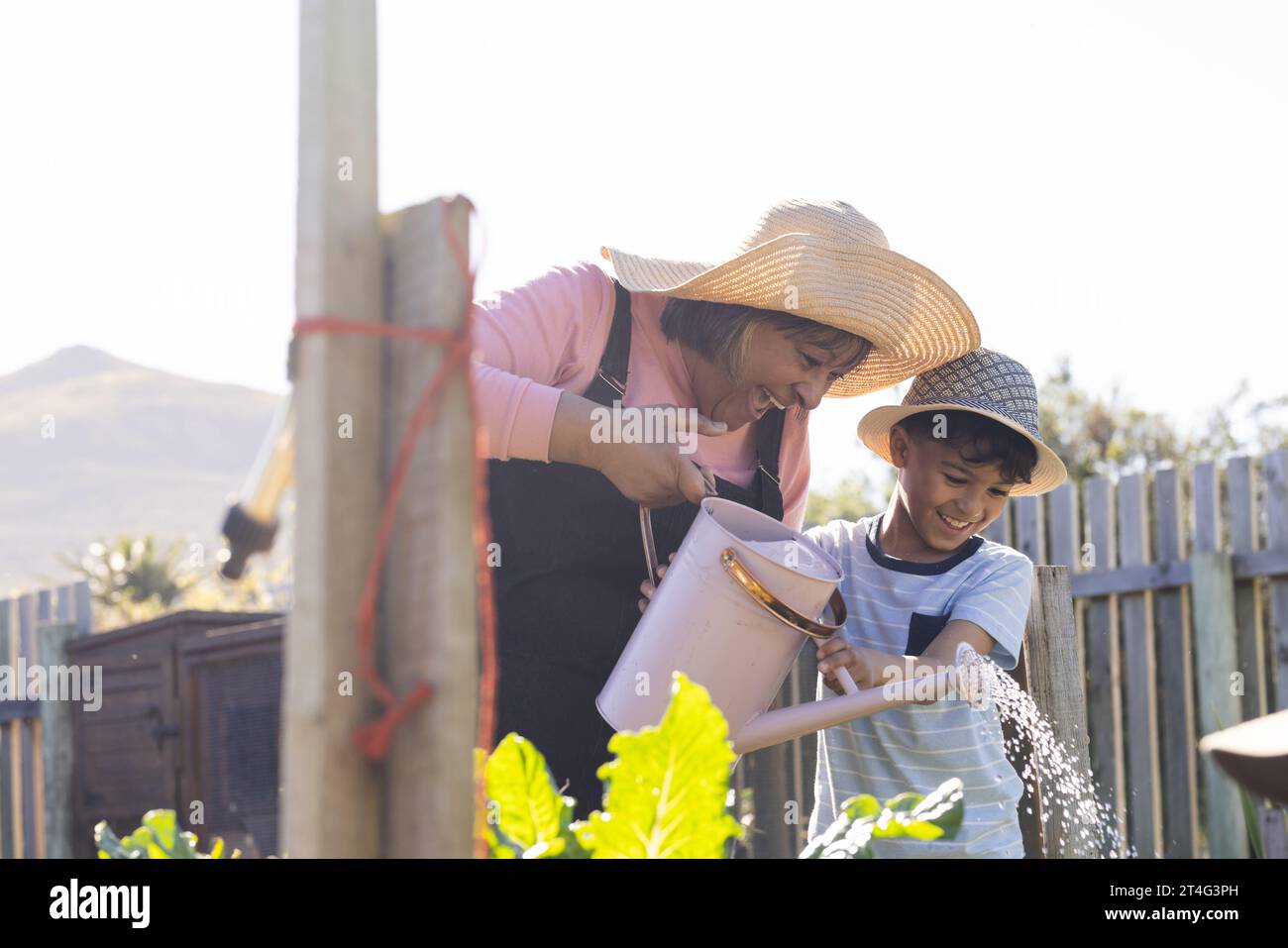 Happy Biracial Grandmother And Grandson Watering Plants In Sunny Garden