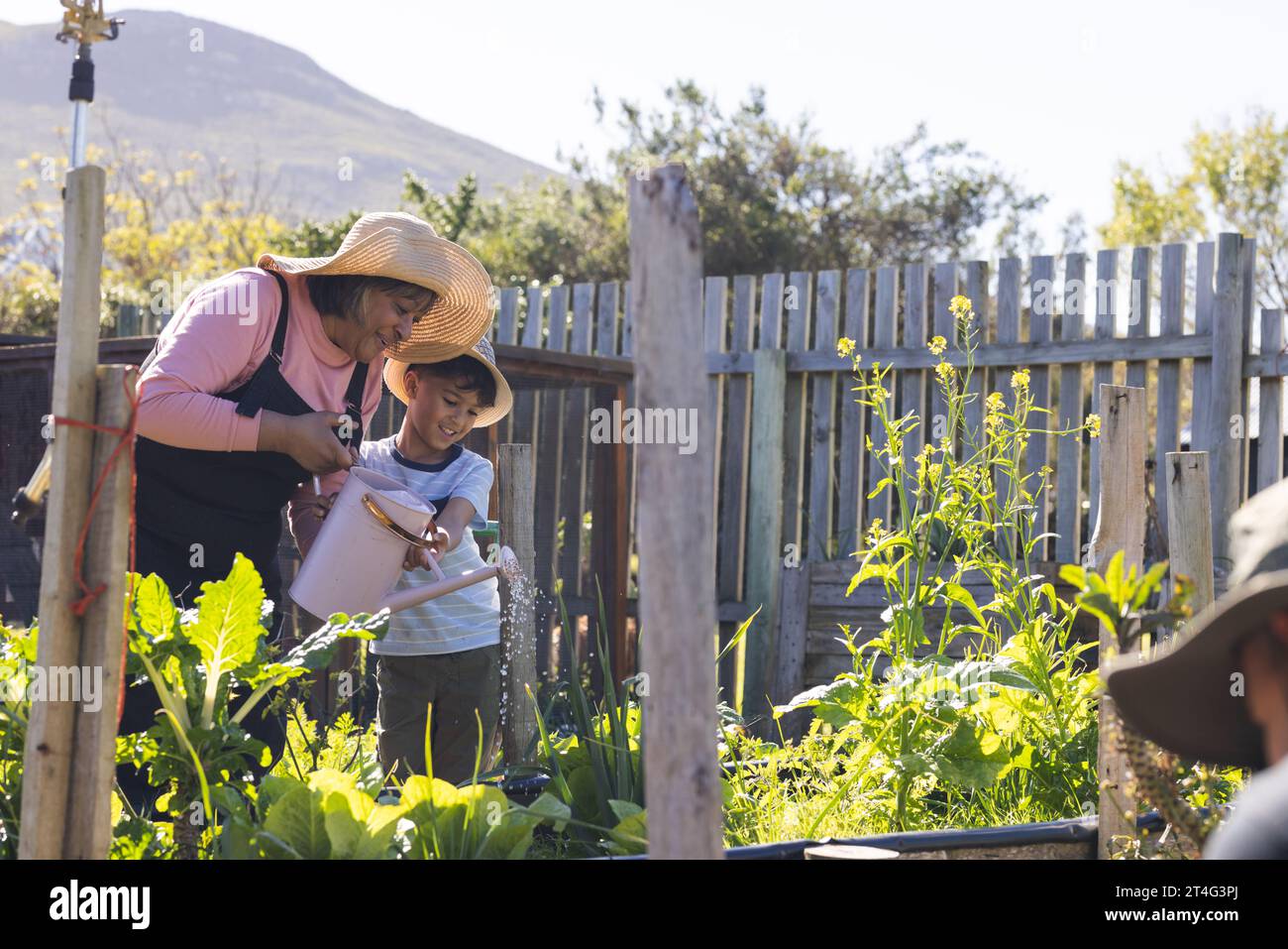 Happy Biracial Grandmother And Grandson Watering Plants In Sunny Garden