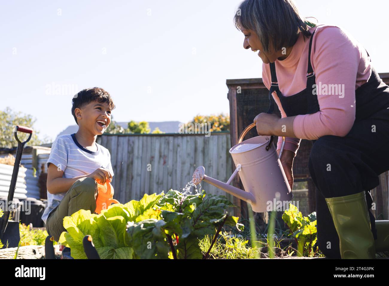 Happy Biracial Grandmother And Grandson Watering Plants In Sunny Garden