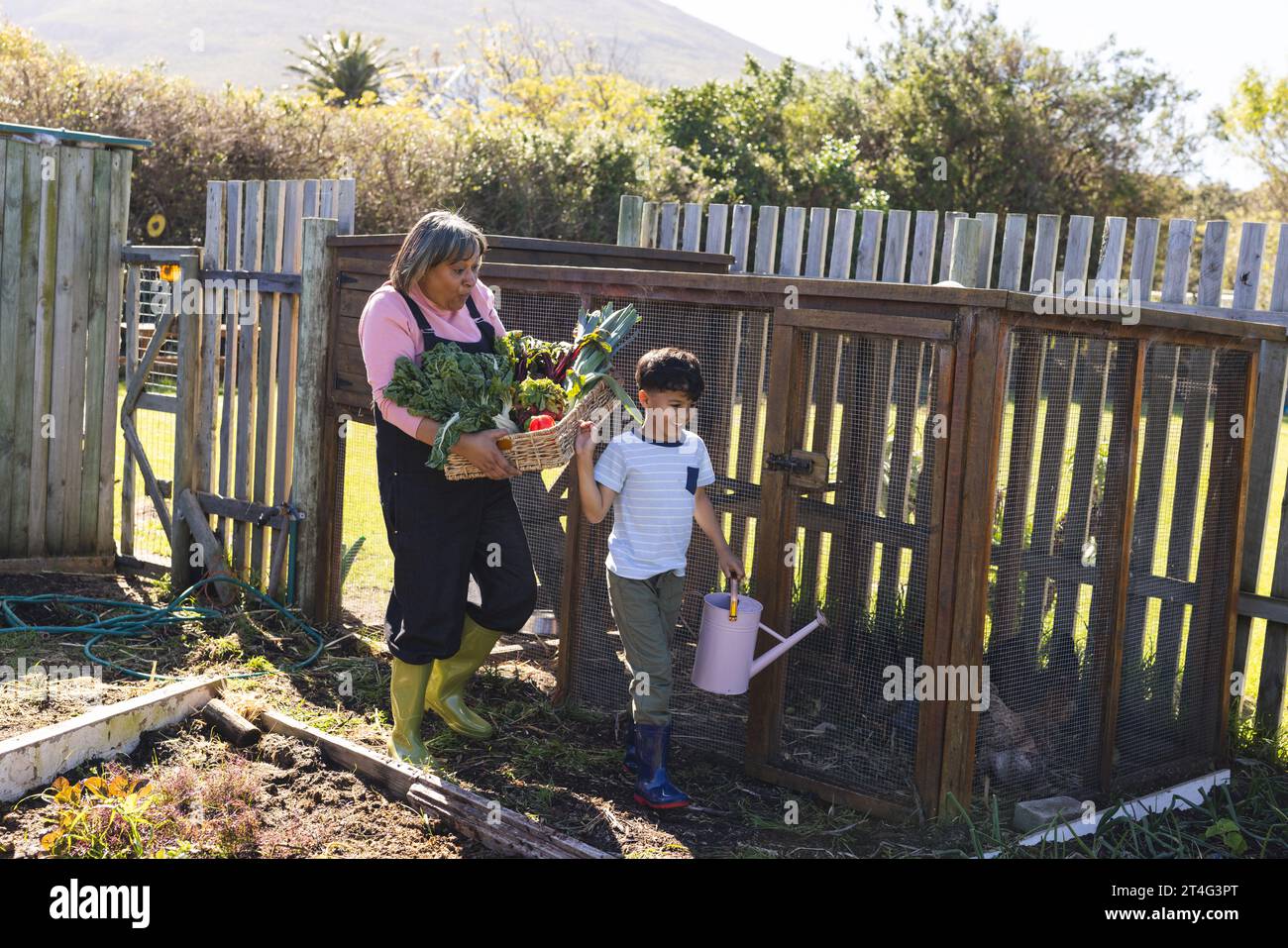 Happy biracial grandmother and grandson picking vegetables in sunny ...