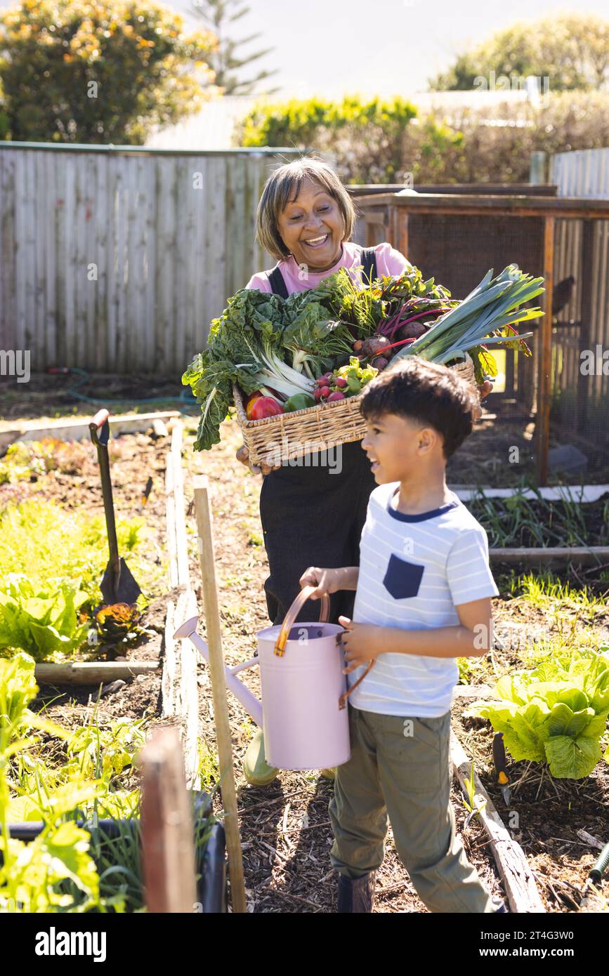 Happy biracial grandmother and grandson picking vegetables in sunny ...