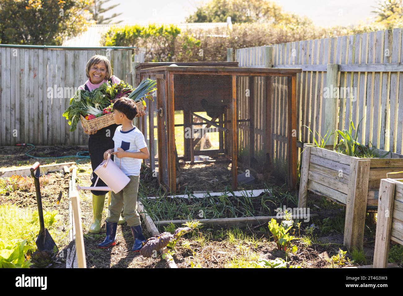 Happy biracial grandmother and grandson picking vegetables in sunny ...