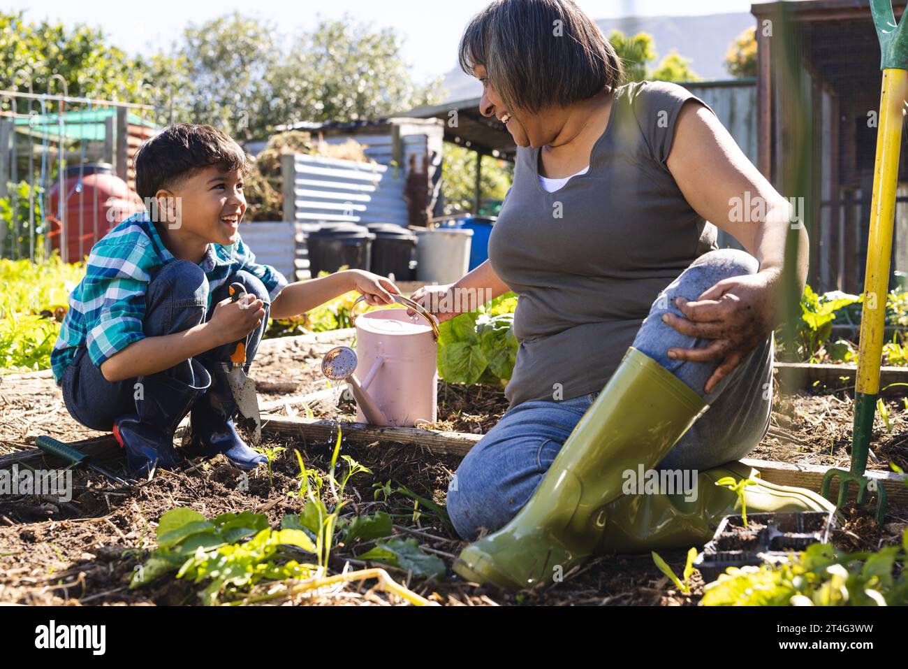 Happy Biracial Grandmother And Grandson Watering Plants In Sunny Garden
