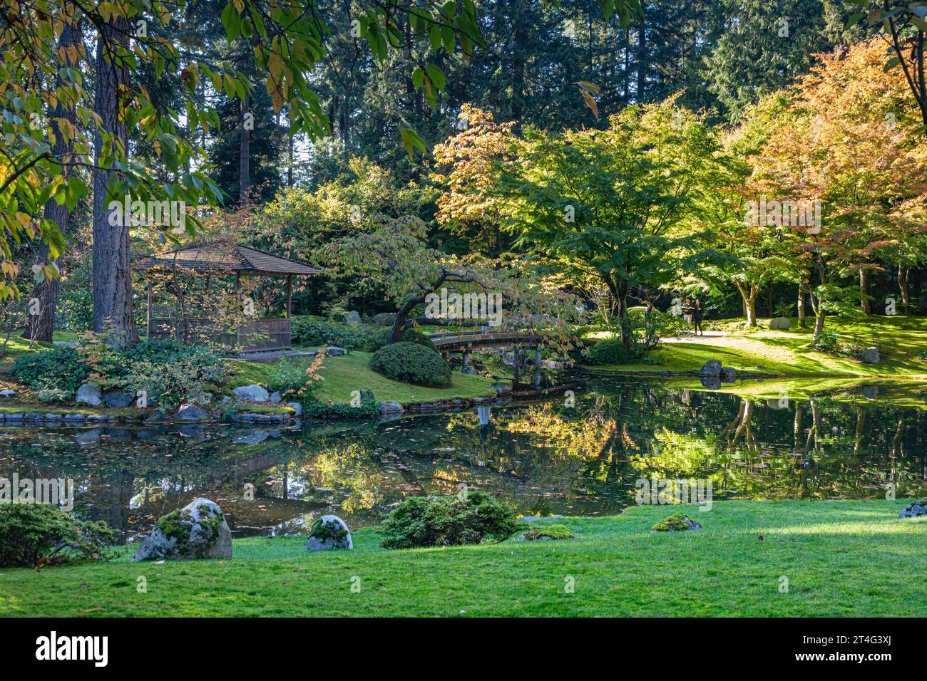 Overview of the Nitobe Japanese Garden at UBC in Vancouver Canada Stock ...