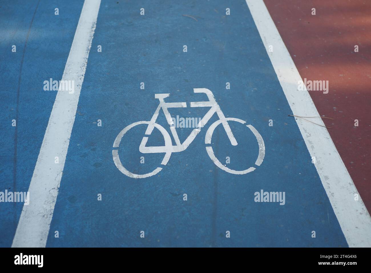 Bicycle symbol on the blue road surface Stock Photo - Alamy