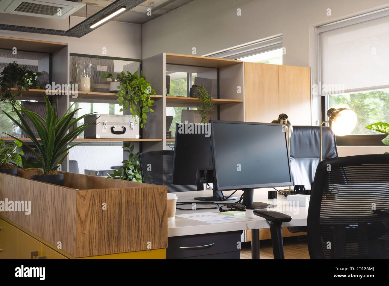 Empty creative office with wooden furniture, plants and computers on ...