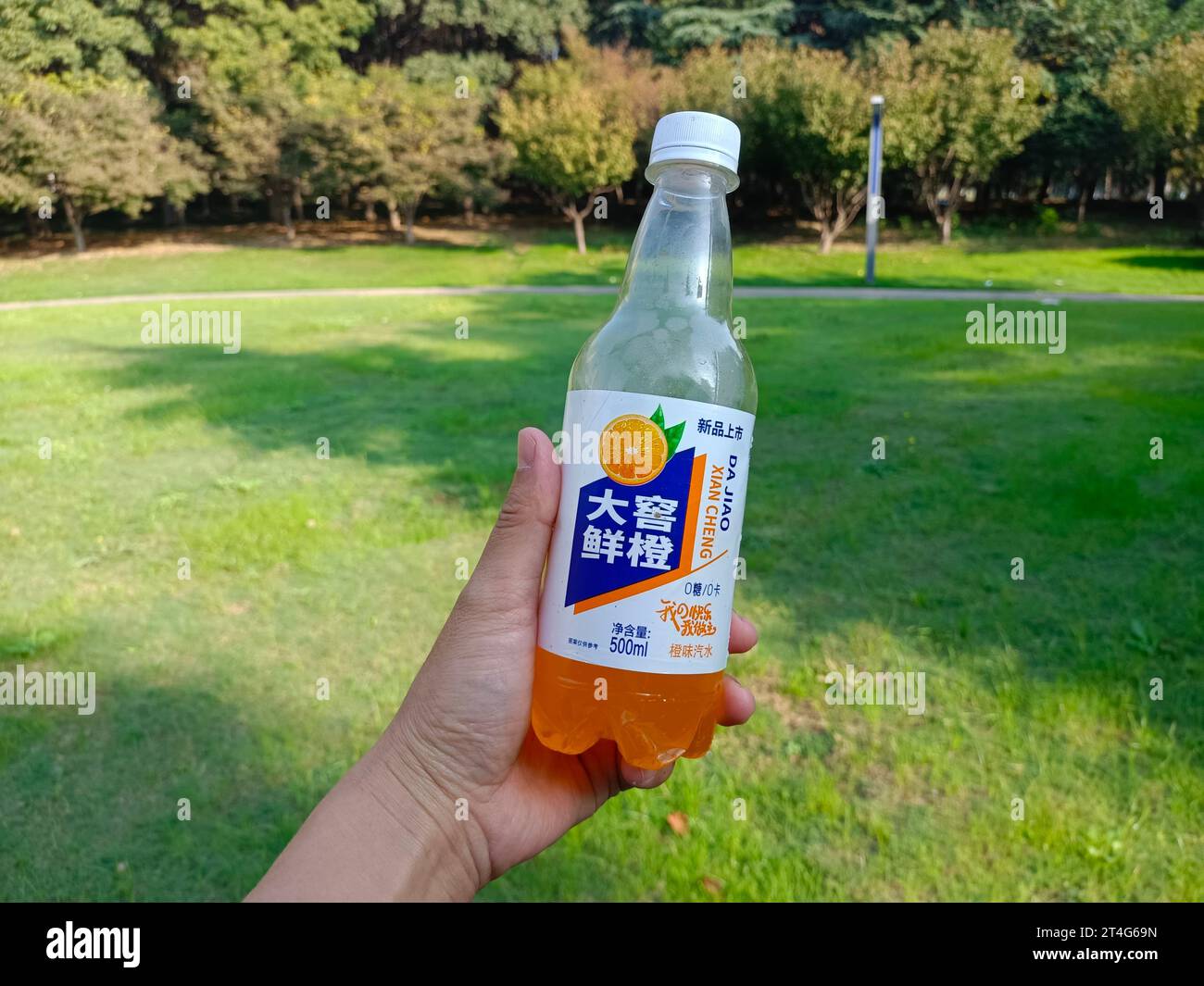 Suqian, China. 31st Oct, 2023. SUQIAN, CHINA - OCTOBER 31, 2023 - Dayao ...