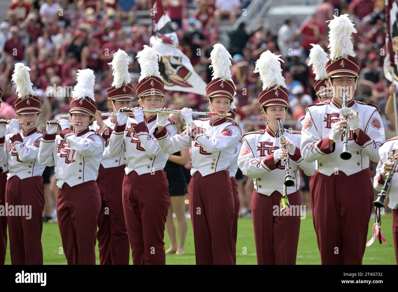 Members of the Florida State marching band perform on the field before ...