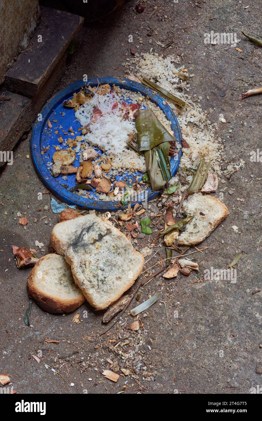 Household pests hi-res stock photography and images - Alamy