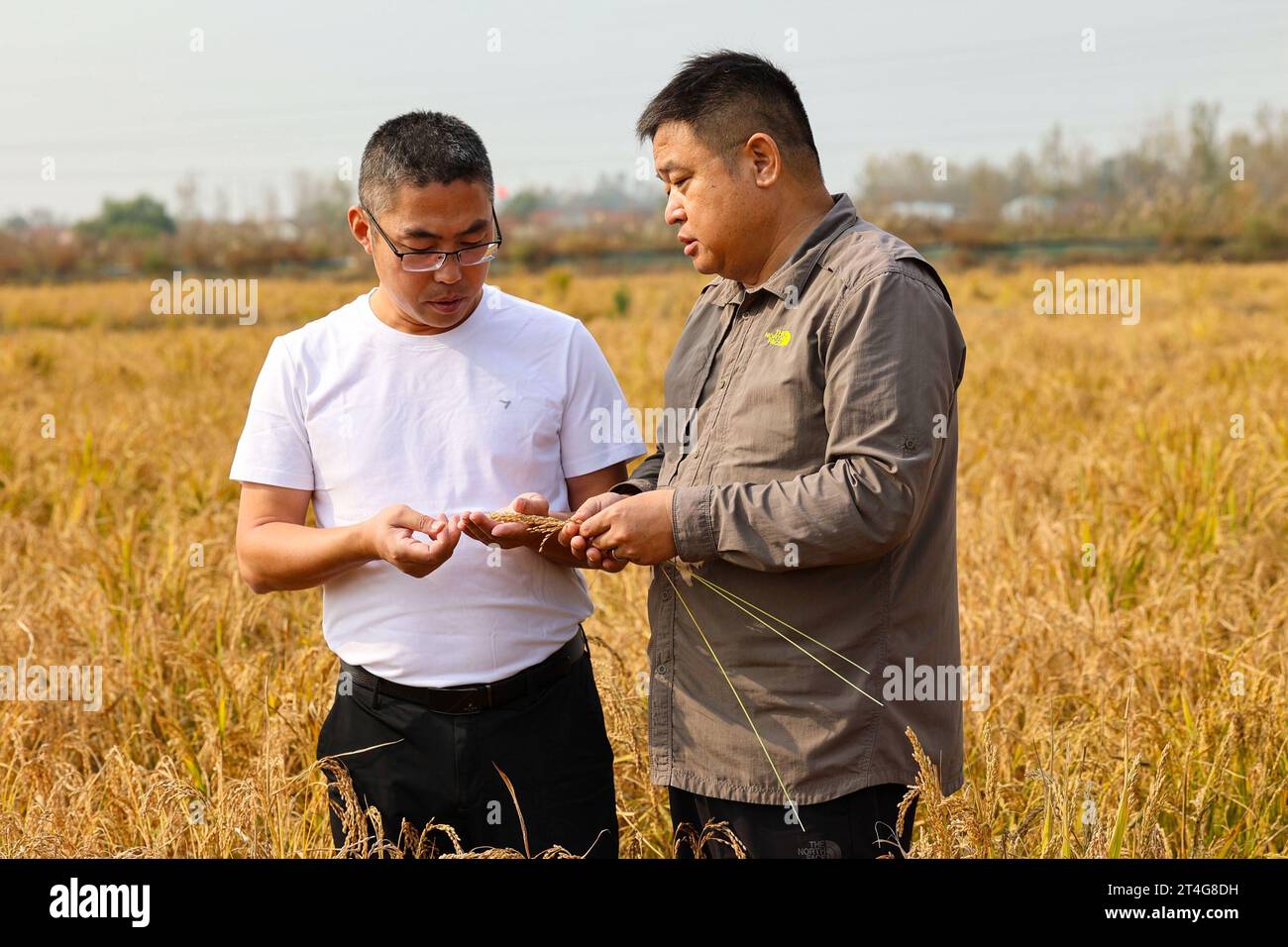 Qingdao, China. 31st Oct, 2023. QINGDAO, CHINA - OCTOBER 30, 2023 ...