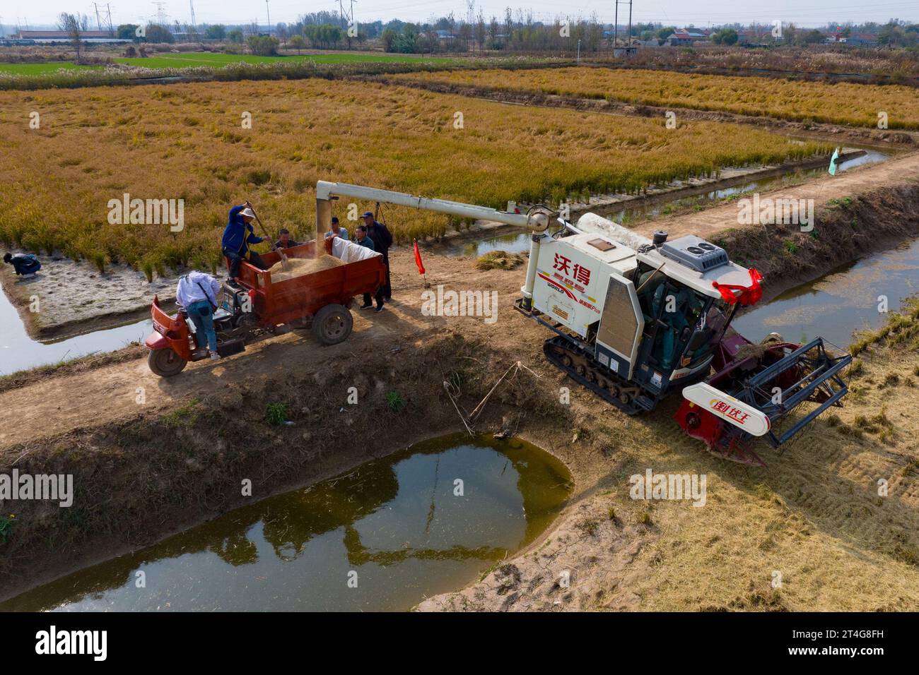 Qingdao, China. 31st Oct, 2023. QINGDAO, CHINA - OCTOBER 30, 2023 ...
