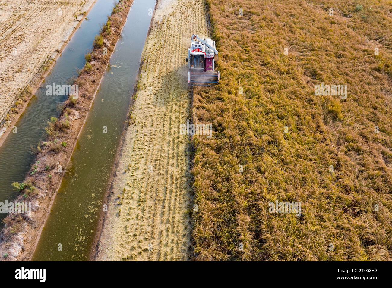 Qingdao, China. 31st Oct, 2023. QINGDAO, CHINA - OCTOBER 30, 2023 ...