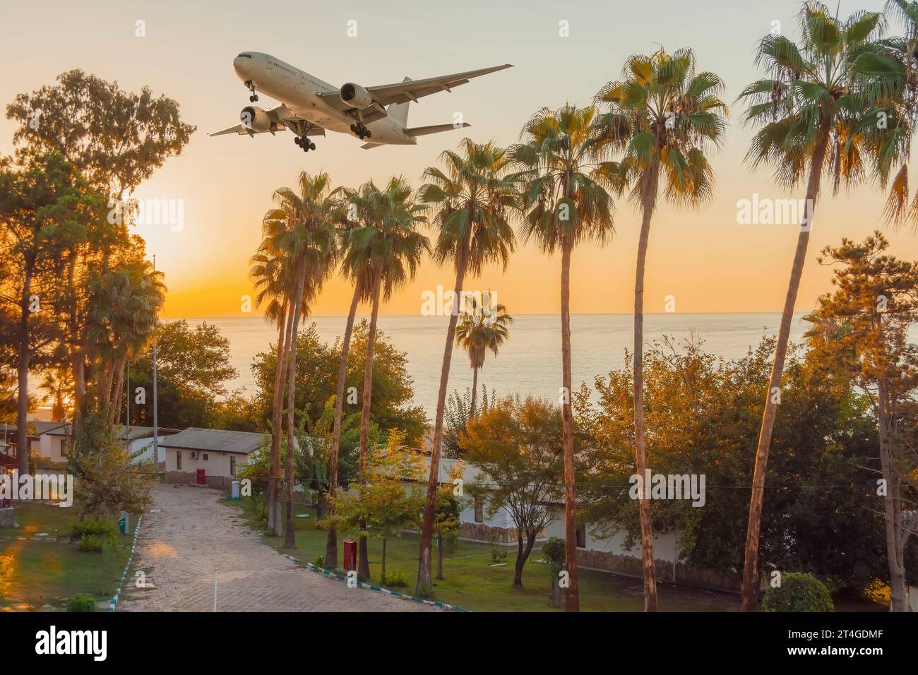 Sunset on tropical beach with coconut palm trees during airplane flying ...