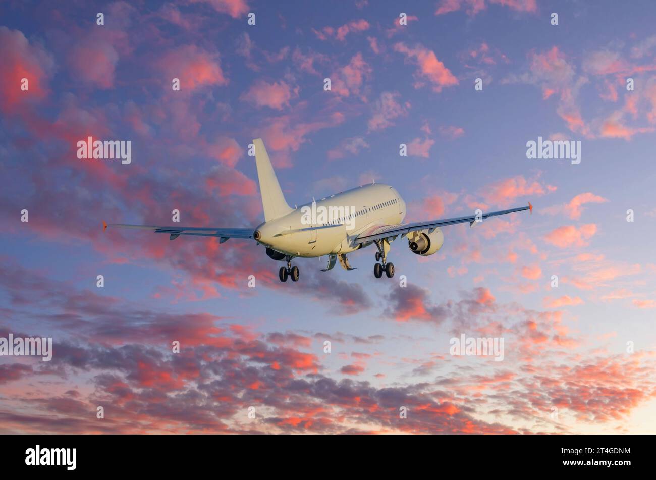 Beautiful Panoramic Background with flying plane pink-red color of ...