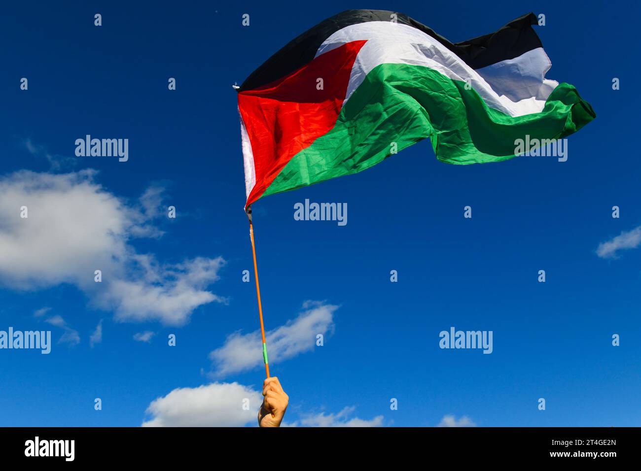 Palestinian flag hi-res stock photography and images - Alamy