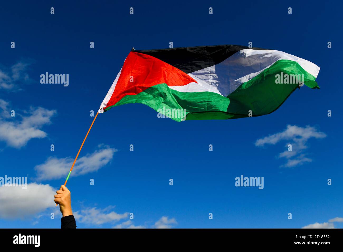 Palestinian flag hi-res stock photography and images - Alamy