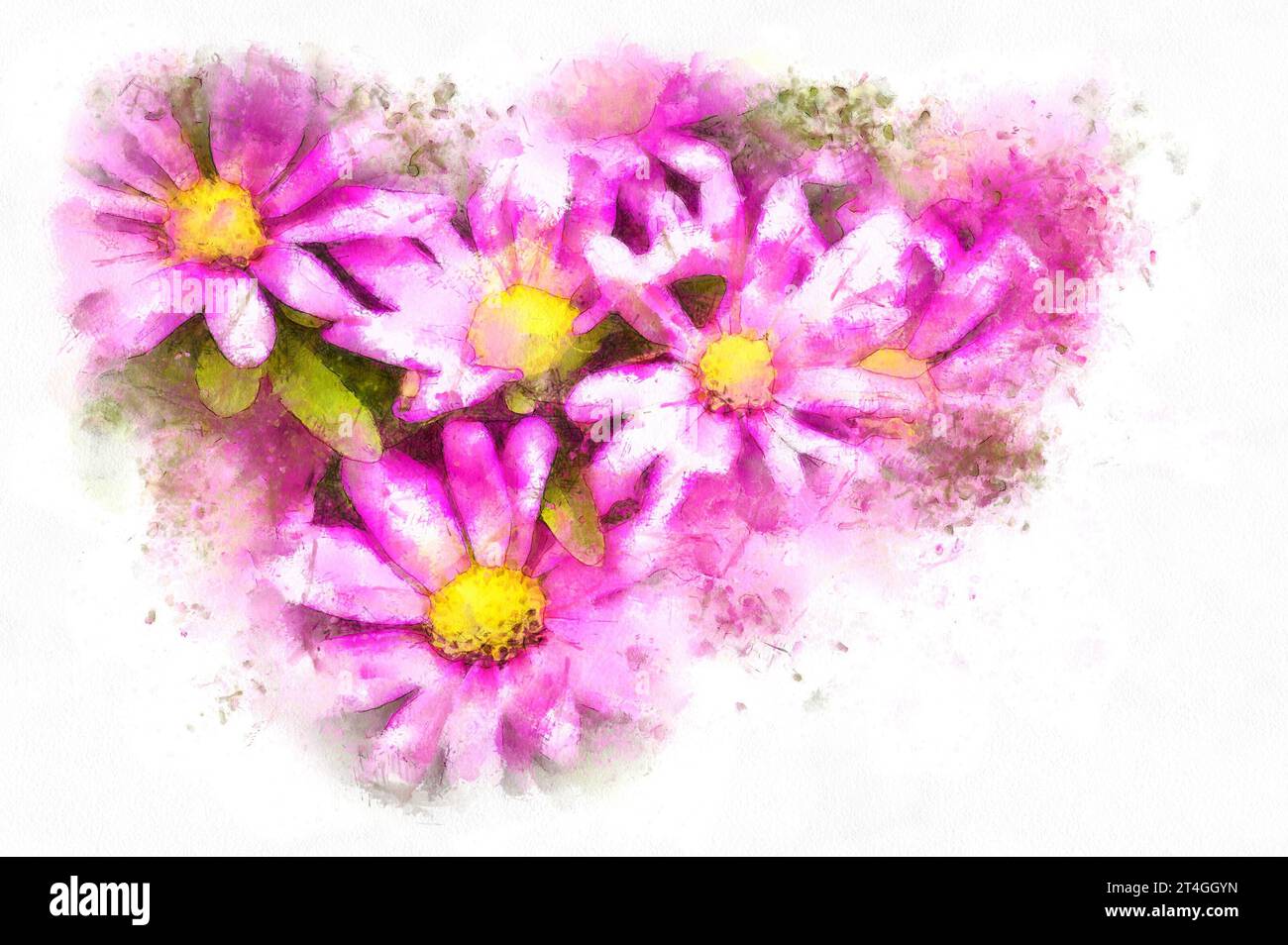 Bright pink daisy flowers digital watercolor effect, photo manipulation ...