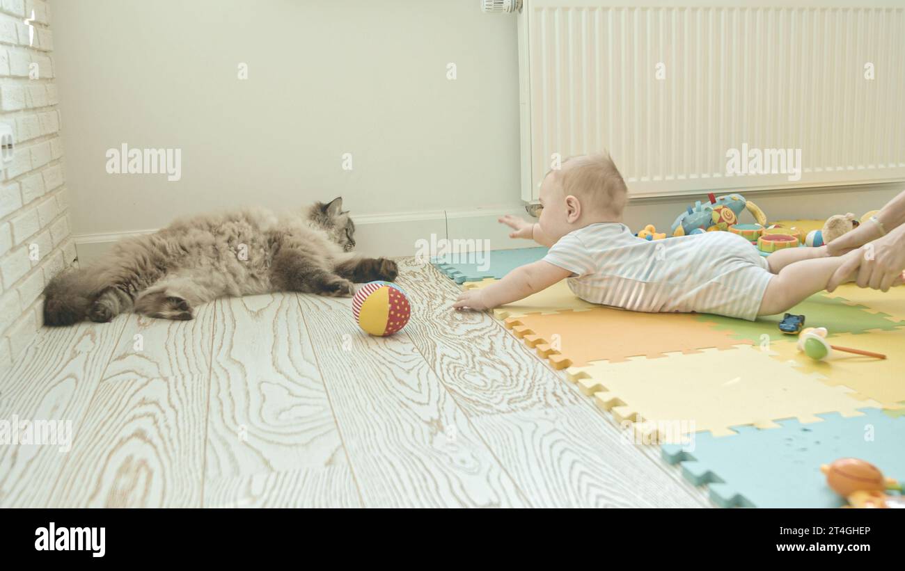 A little baby crawling closer to the cat - his mother moving him away ...