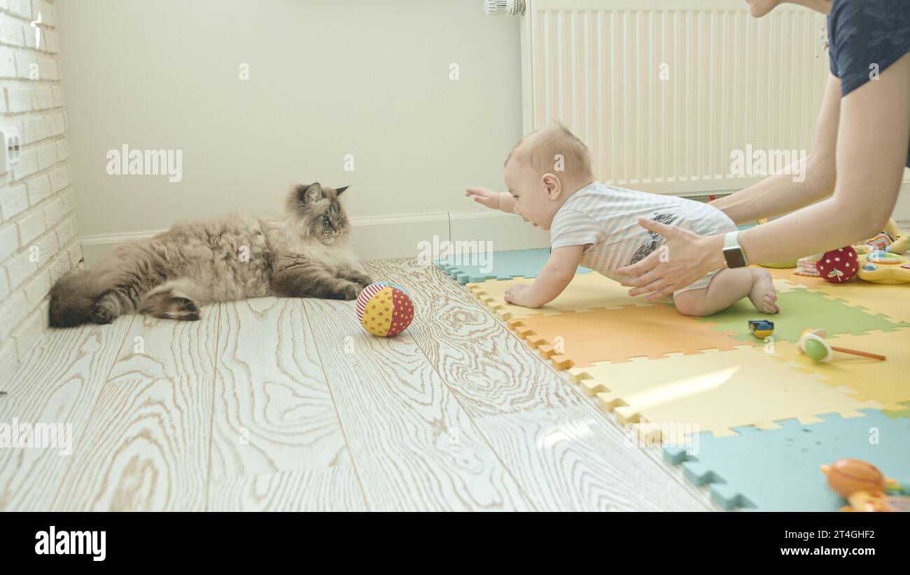 A little baby playing with his toys and crawling closer to the cat ...