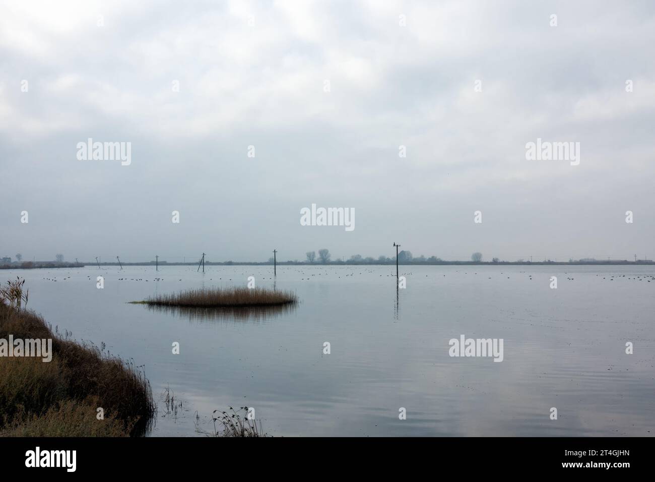 Beautiful scenery in the delta of Gallikos river, Kalochori, Greece, a ...