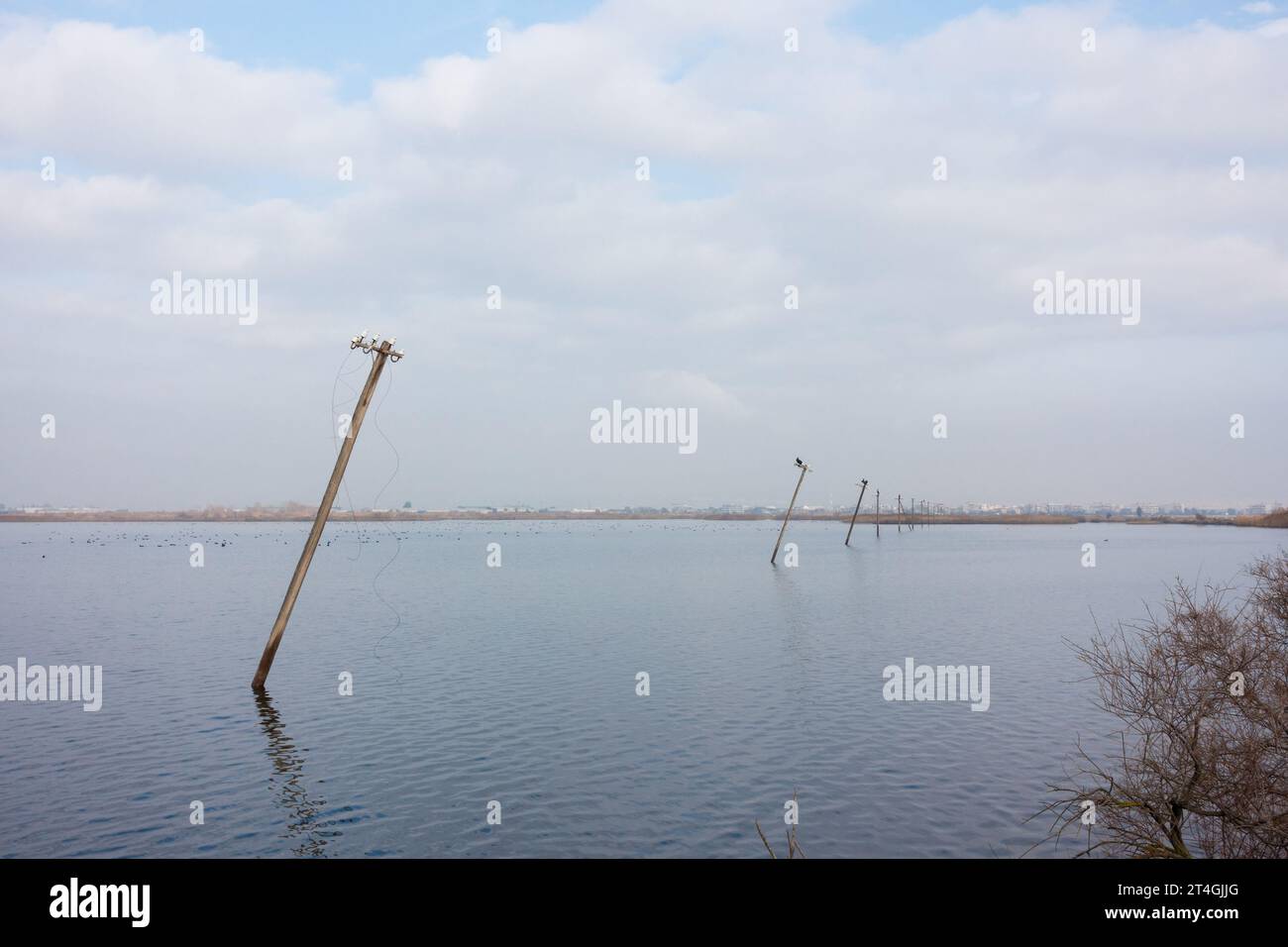 Beautiful scenery in the delta of Gallikos river, Kalochori, Greece, a ...