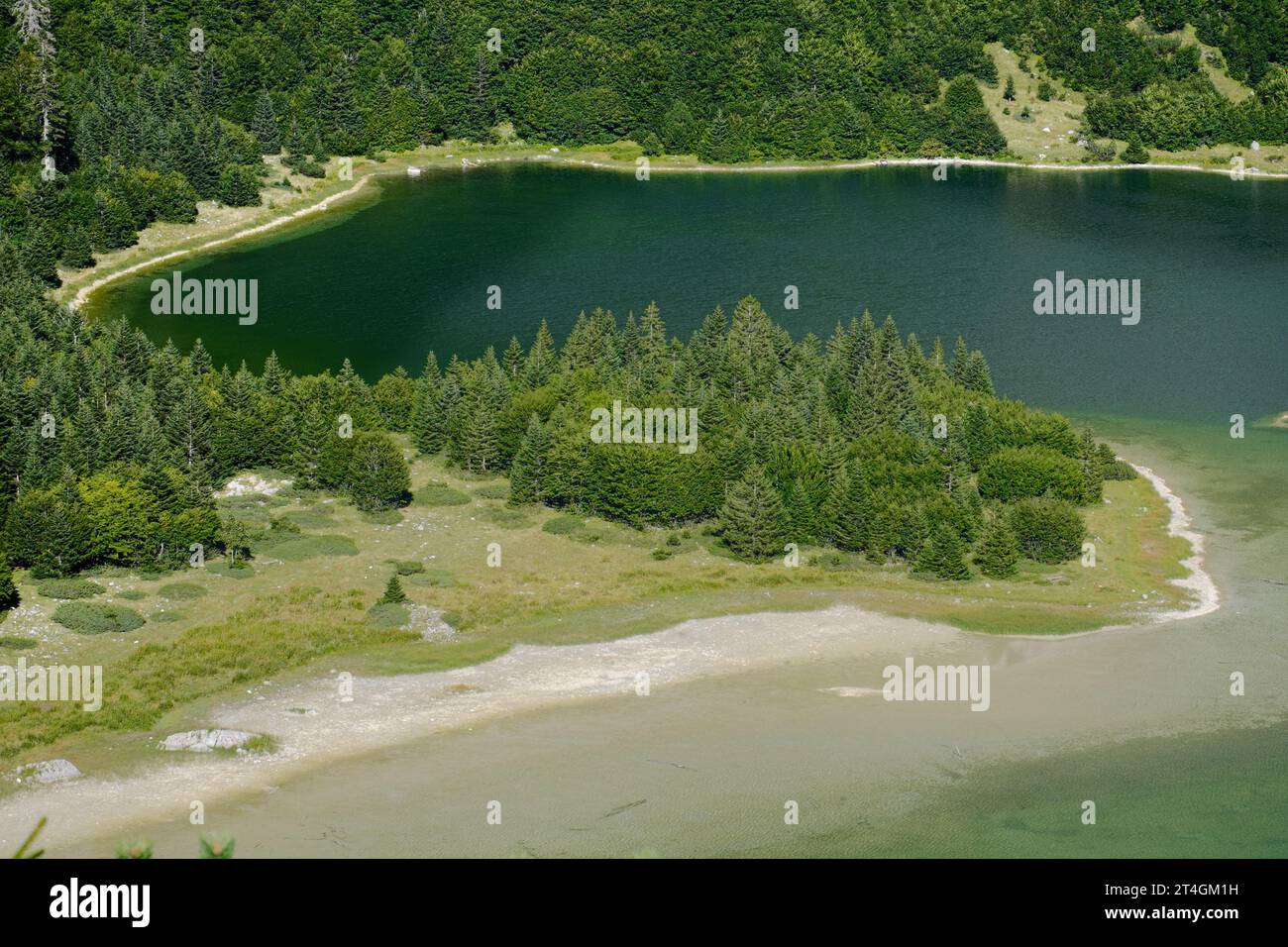 grove of trees on the edge of lake in Nature Park Piva, Montenegro ...