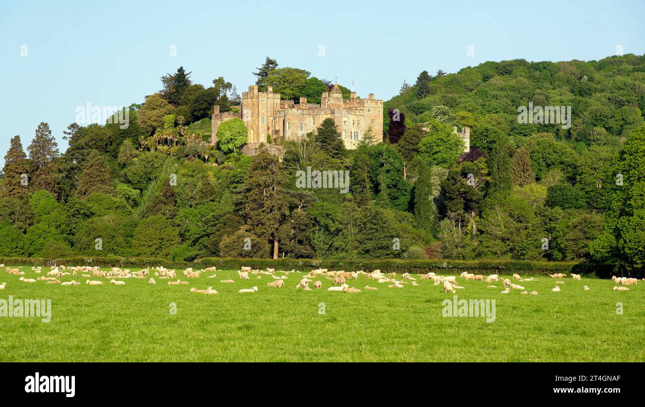 Dunster Castle in woodlands, Exmoor, Somerset, UK Stock Photo - Alamy