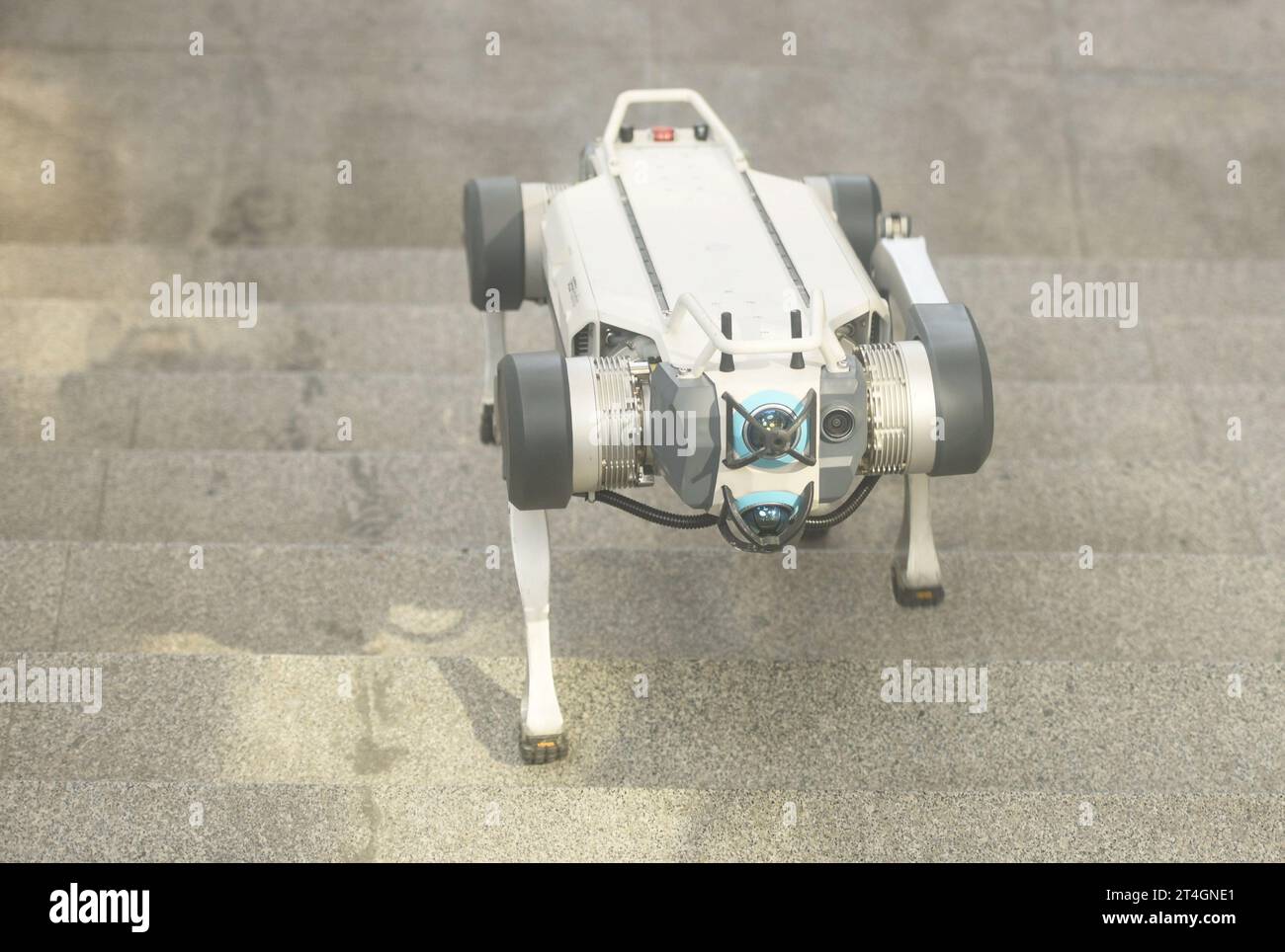 Hangzhou, China. 31st Oct, 2023. HANGZHOU, CHINA - OCTOBER 31, 2023 - A ...