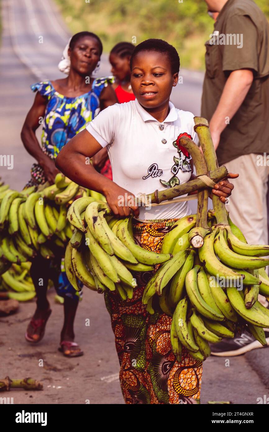 A group of people carrying a large bundle of bananas down a country ...