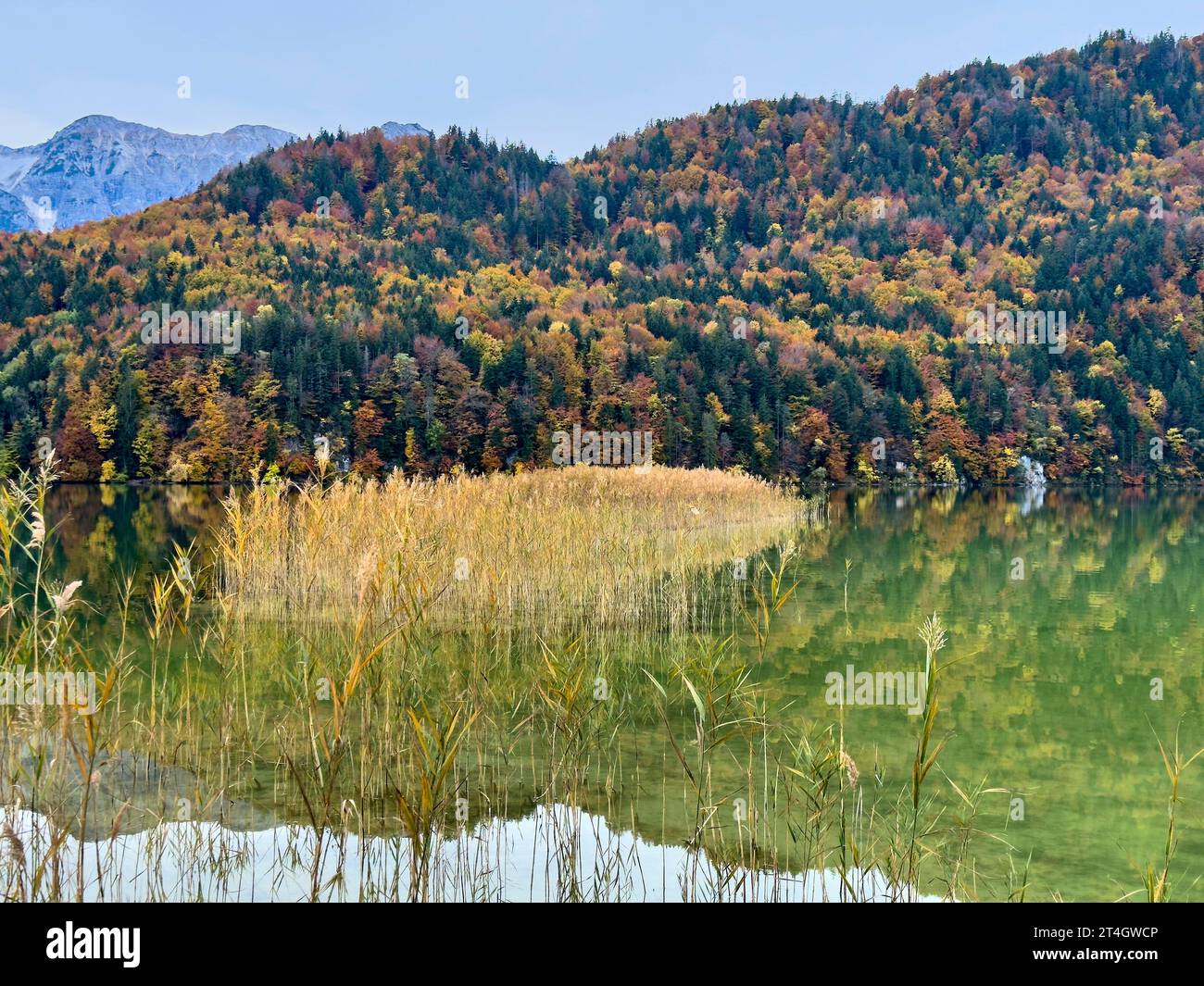 Lake Weissensee surrounded by colorful trees in autumn on Oct 30, 2023 ...