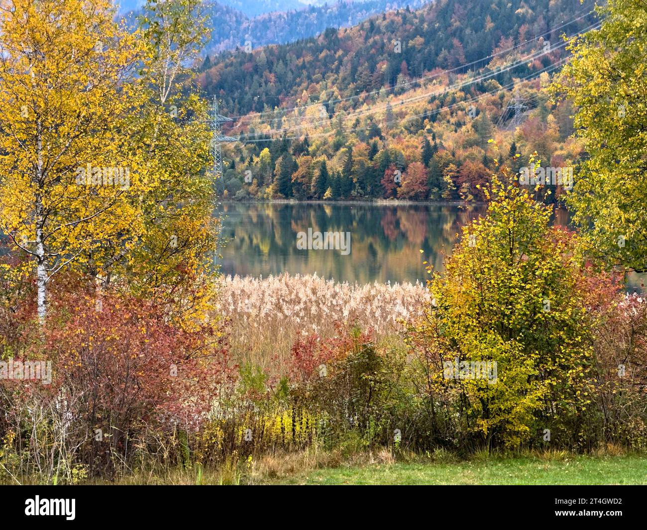 Lake Weissensee surrounded by colorful trees in autumn on Oct 30, 2023 ...