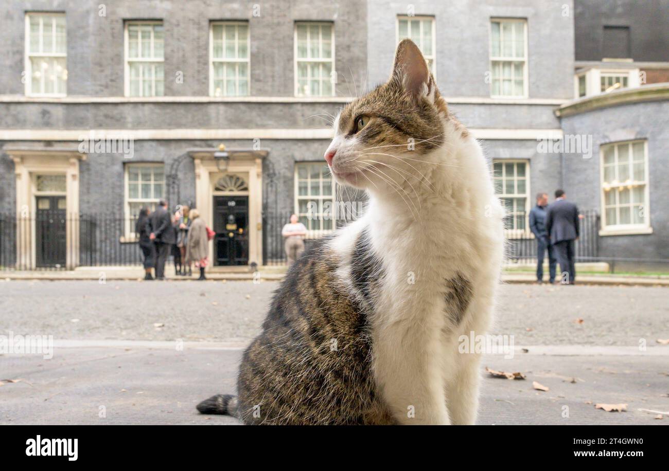 Larry the Cat - Chief Mouser to the Cabinet Office since 2011 - in ...