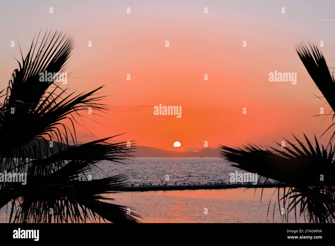 Sun behind palm tree hi-res stock photography and images - Alamy