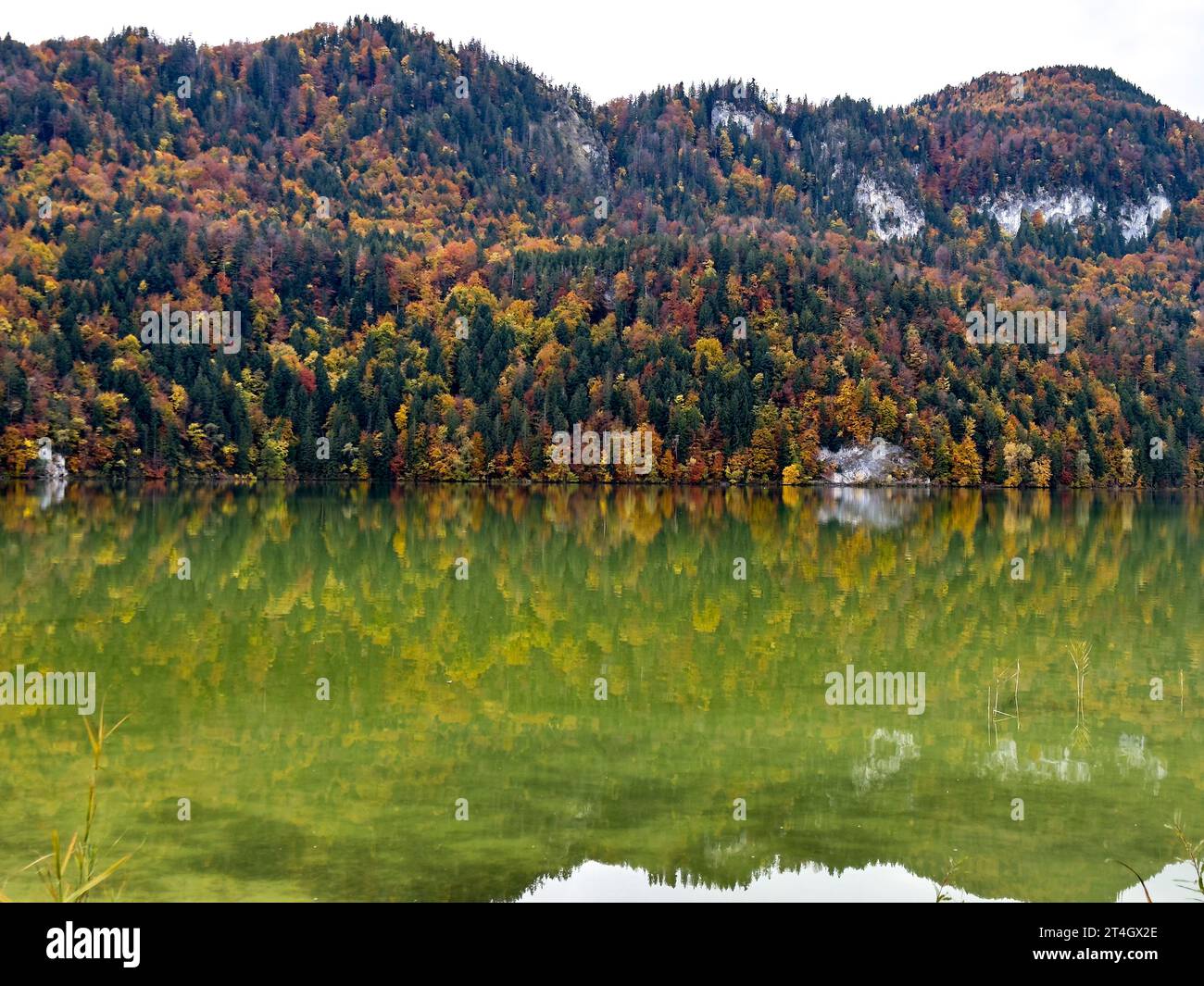 Weissensee, Germany. 30th Oct, 2023. Lake Weissensee surrounded by ...