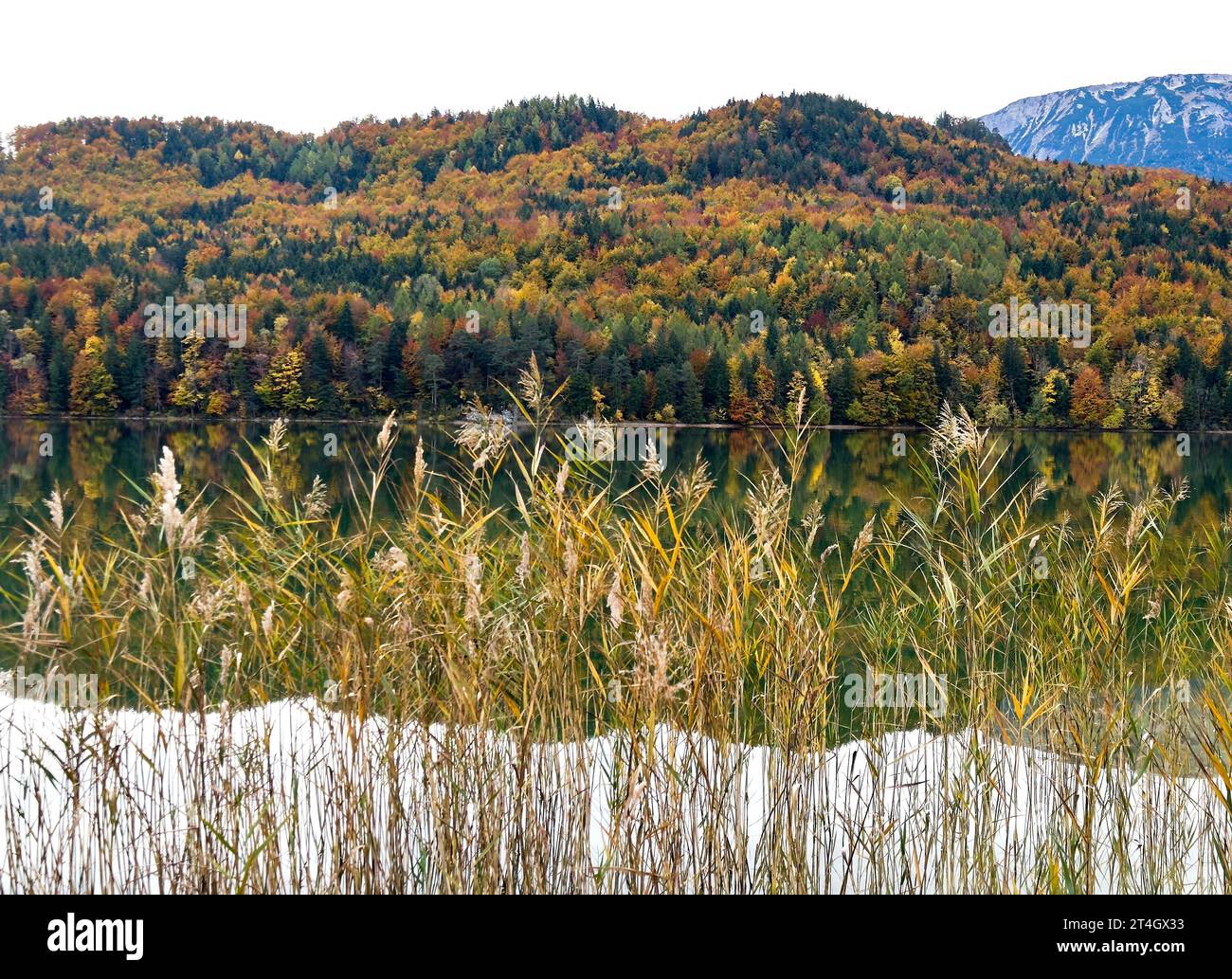 Weissensee, Germany. 30th Oct, 2023. Lake Weissensee surrounded by ...