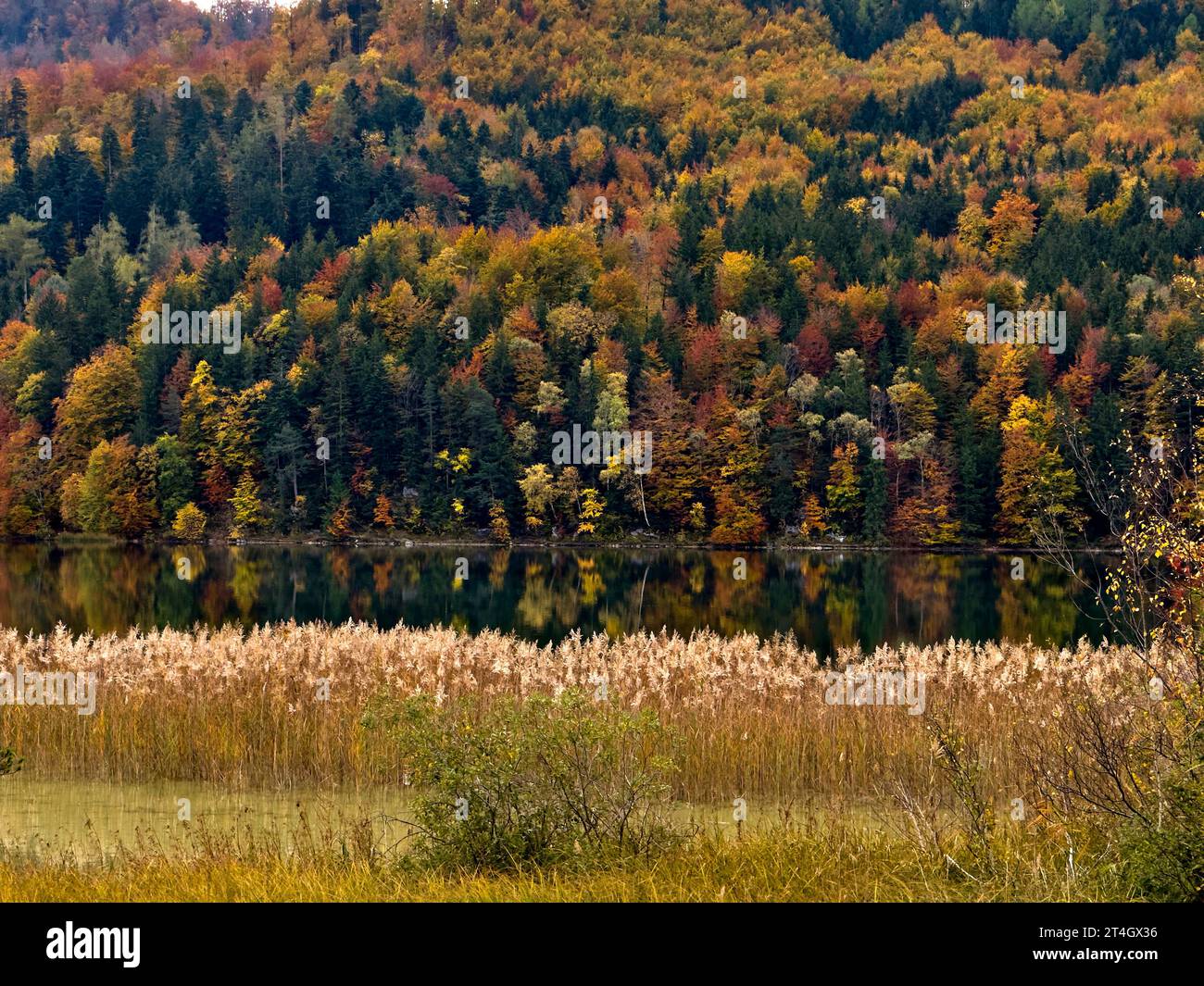 Weissensee, Germany. 30th Oct, 2023. Lake Weissensee surrounded by ...