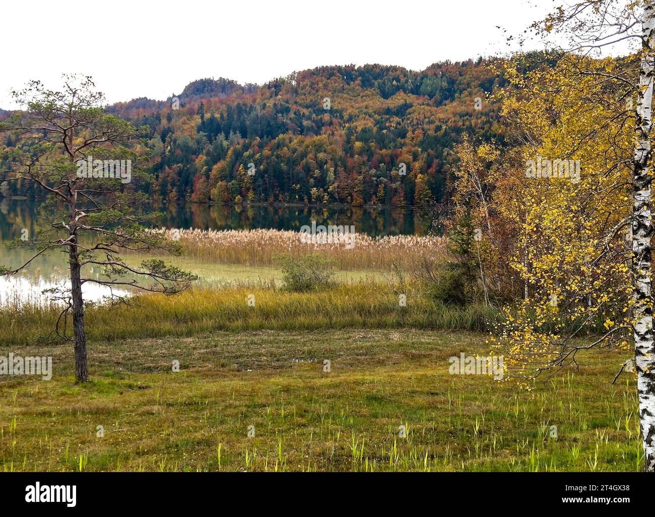 Weissensee, Germany. 30th Oct, 2023. Lake Weissensee surrounded by ...