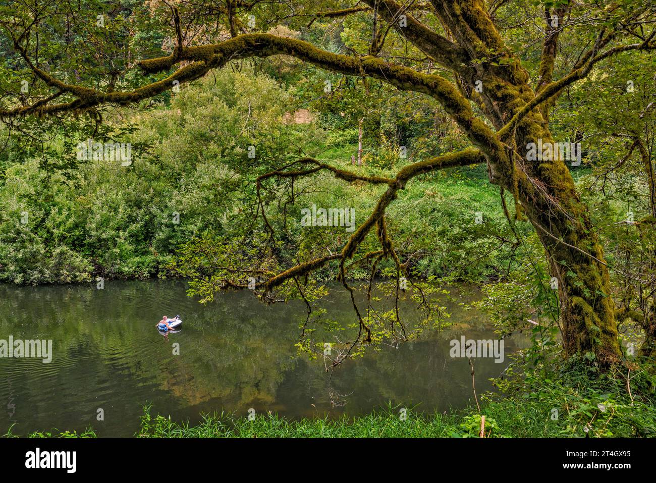 Man in inflatable dinghy, Alsea River, view from campsite at Blackberry ...