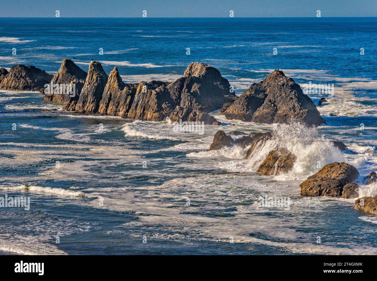 Sea stacks at Seal Rock State Park, Oregon Islands National Wildlife ...