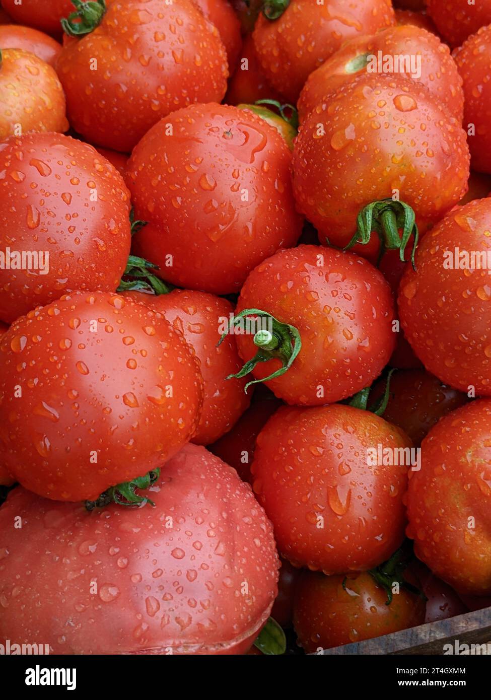 A bountiful sight unfolds in the image, showcasing an abundance of ...