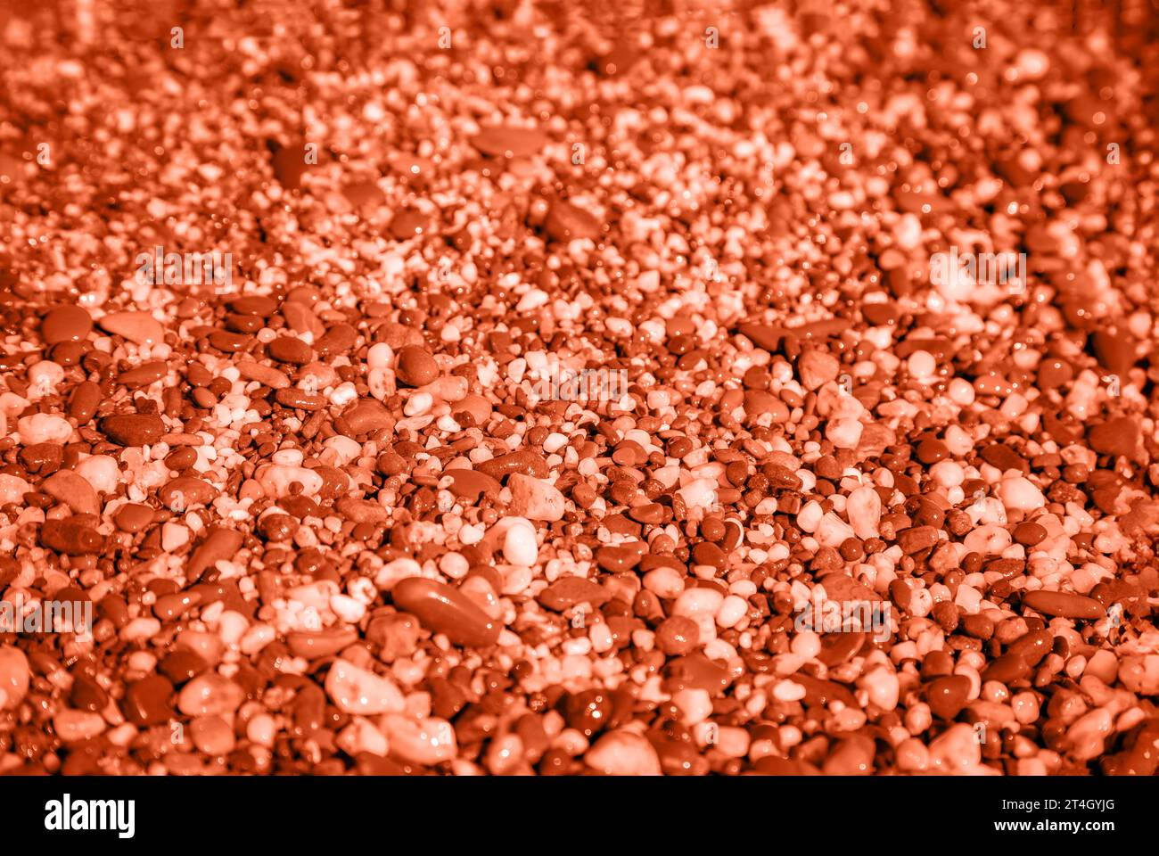 Stone apricot color background. Nature texture Stock Photo - Alamy