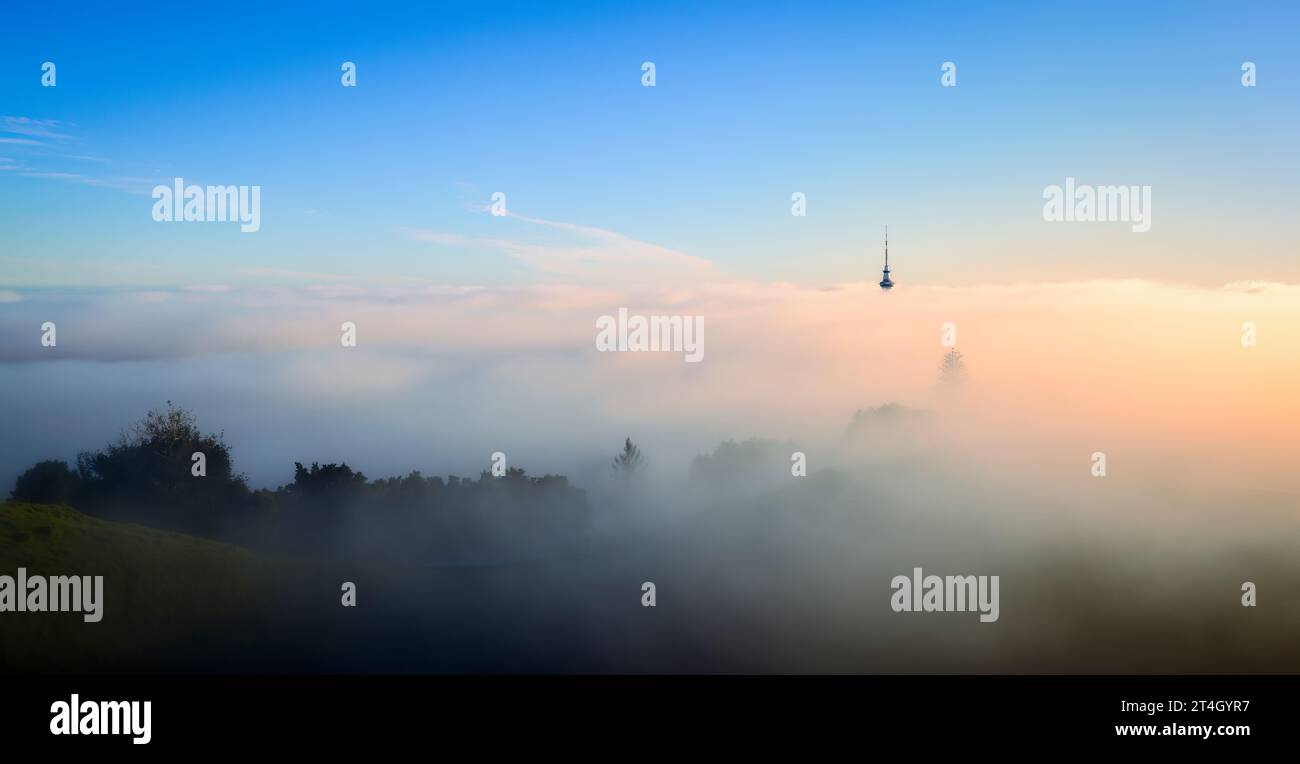 Auckland Sky Tower above a sea of fog. View from Mt Eden summit with ...