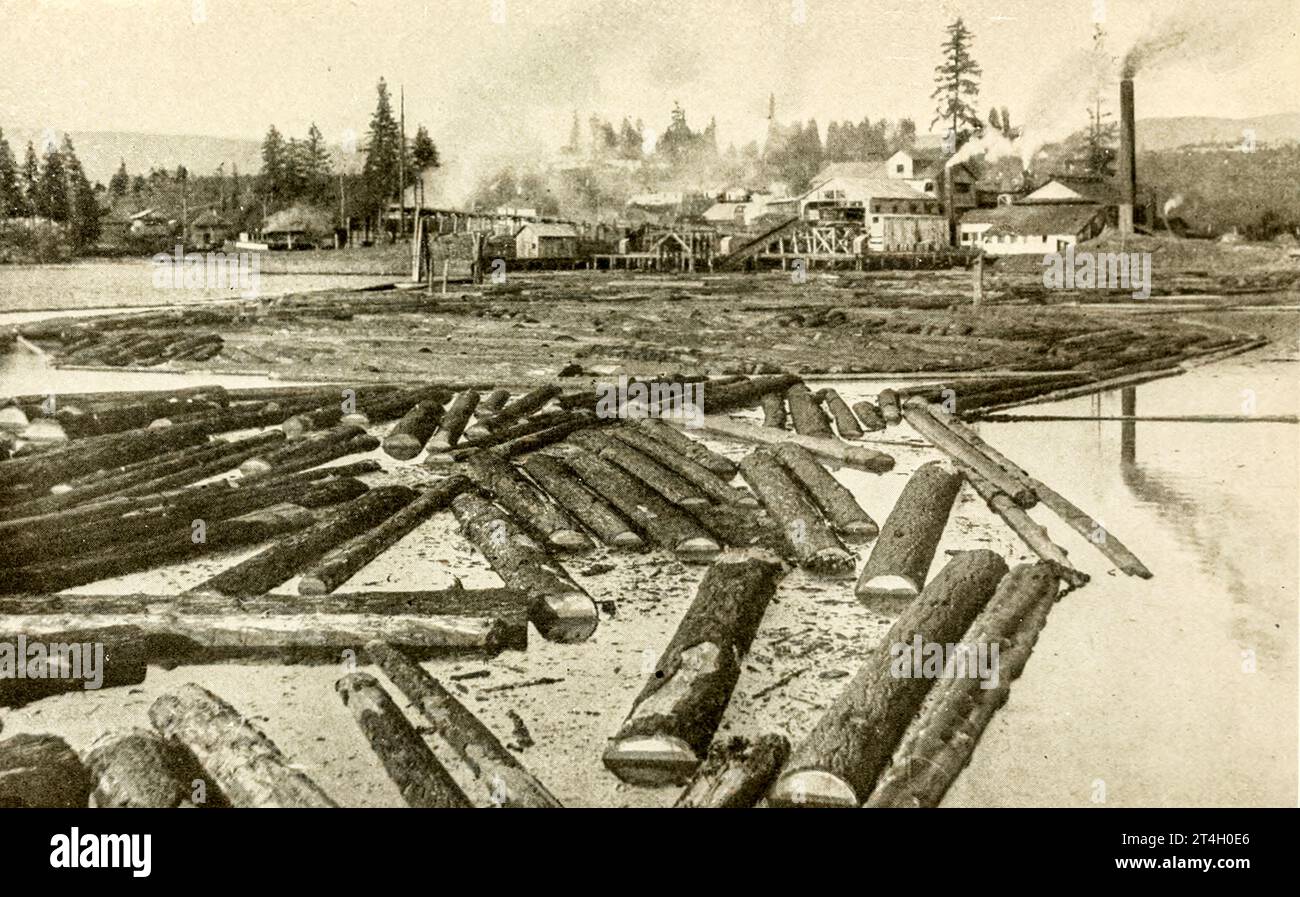 19th century logging hi-res stock photography and images - Alamy