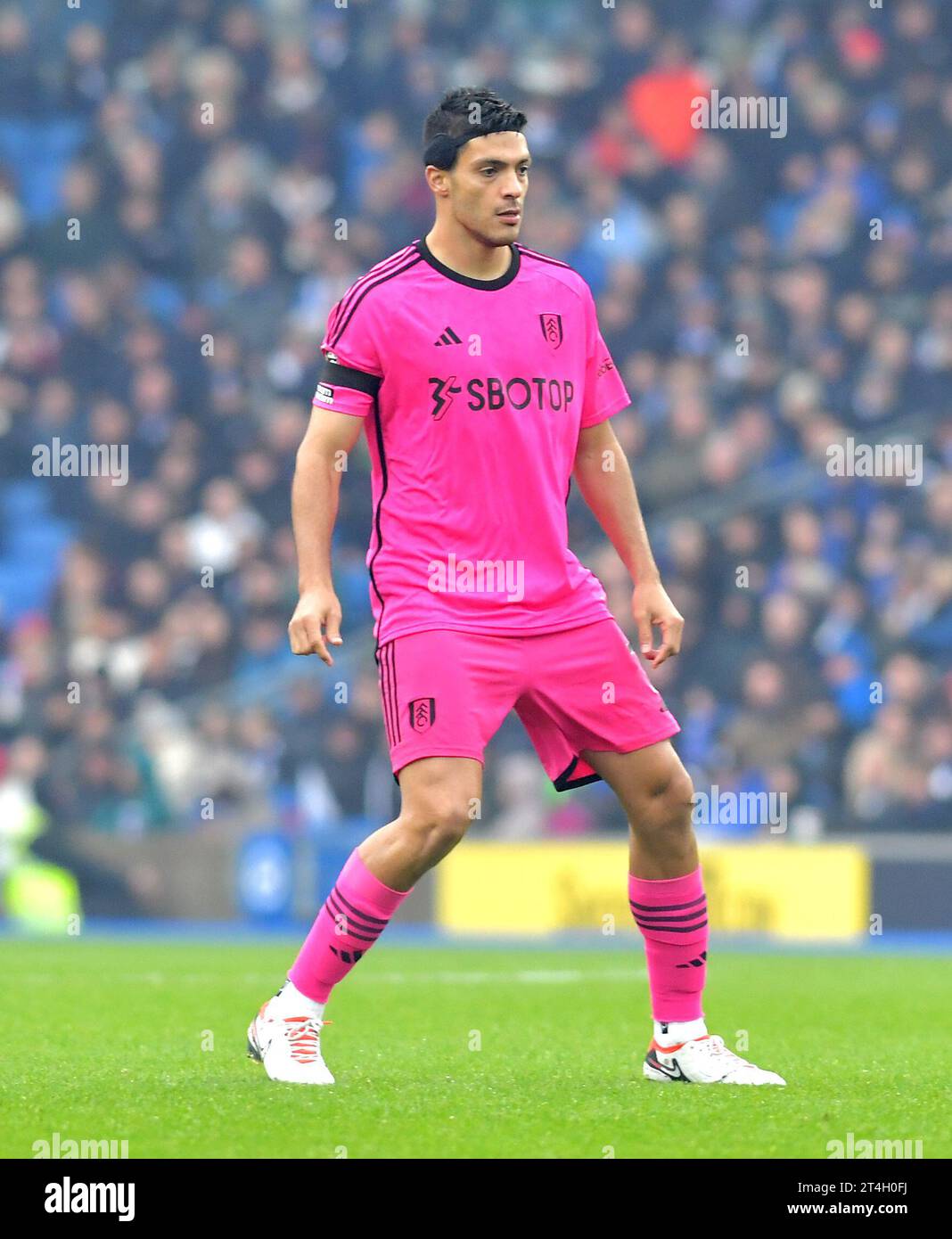 Raul Jimenez of Fulham during the Premier League match between Brighton ...