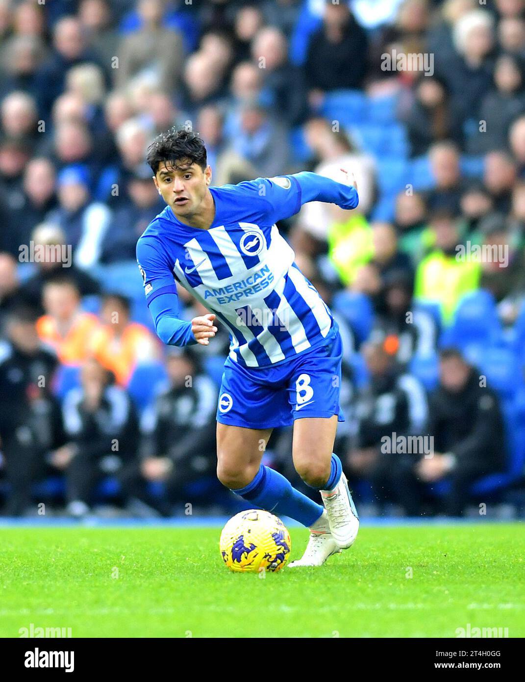 Mahoud dahoud brighton 2023 hi-res stock photography and images - Alamy