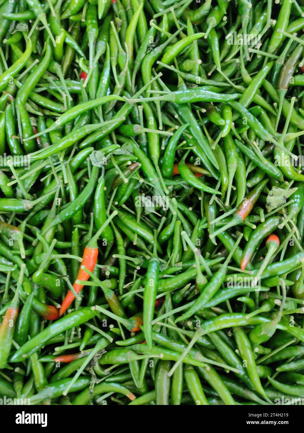 Top view small green chillies used in cooking to give the dish a more ...