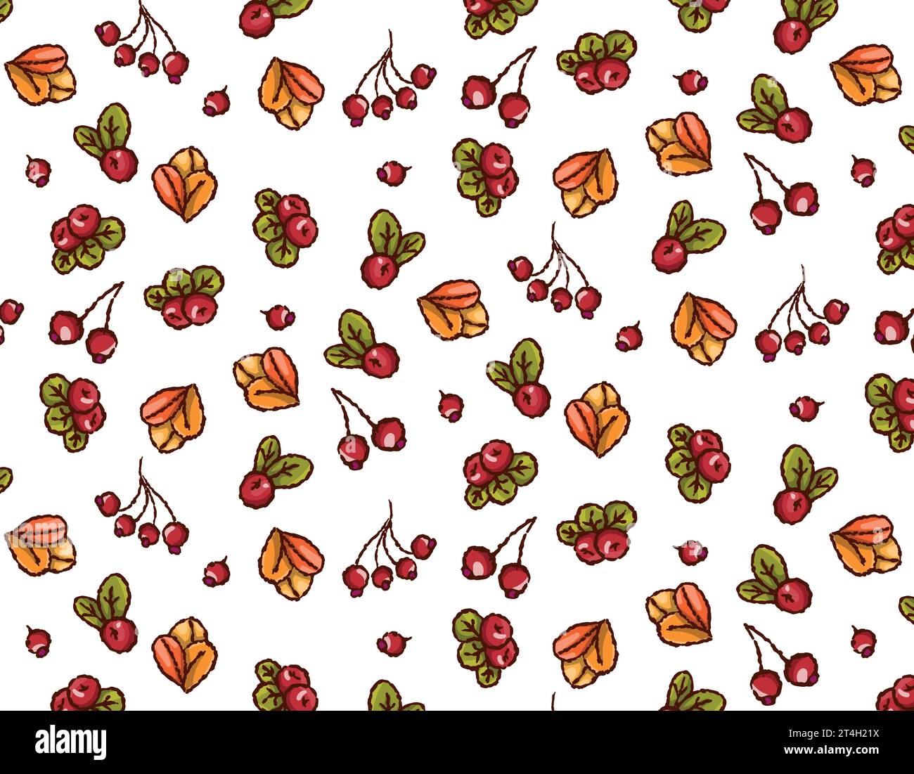 minimalistic pattern of autumn leaves, berries, on a transparent ...